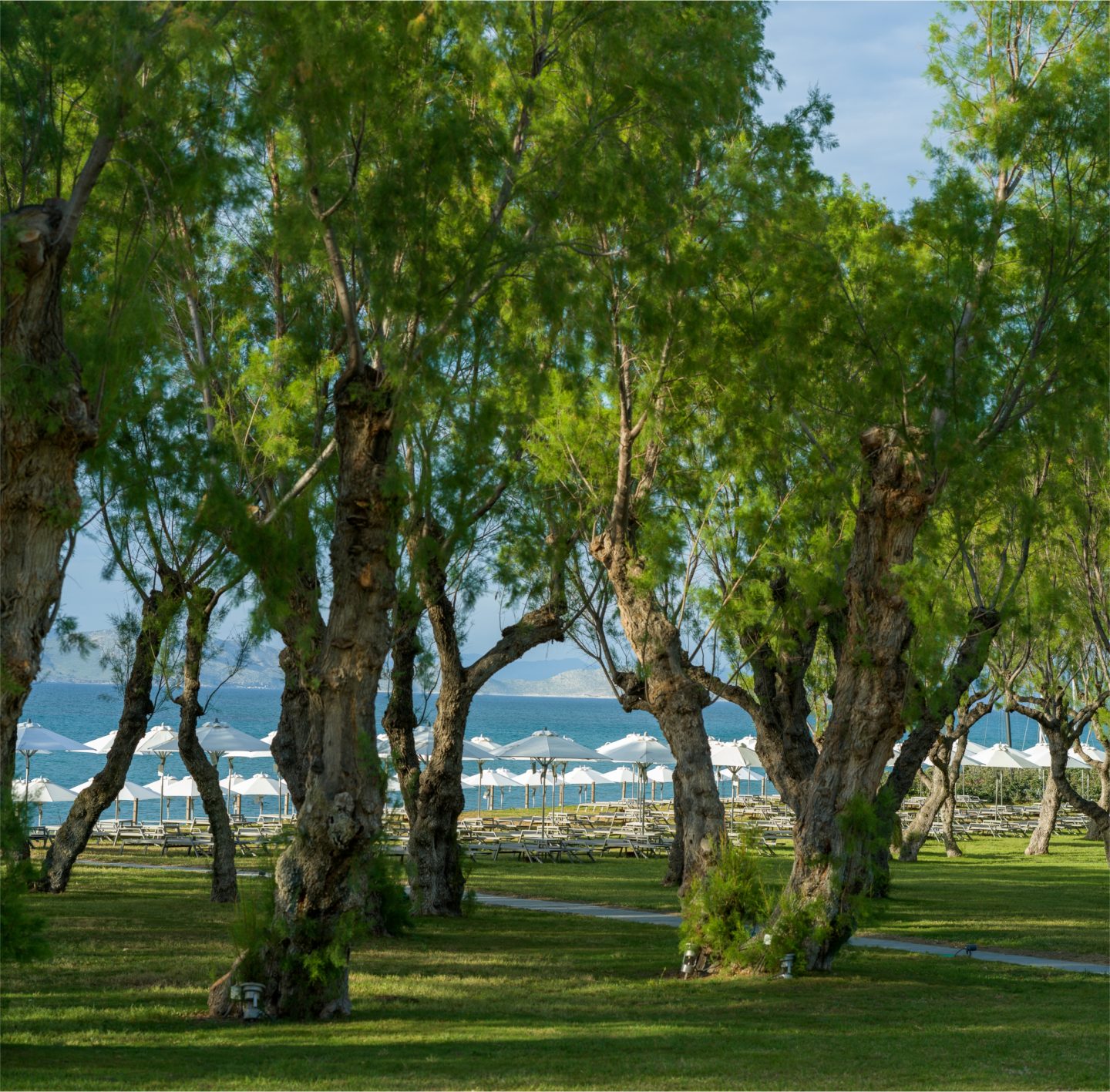 Strand | Neptune Luxury Resort